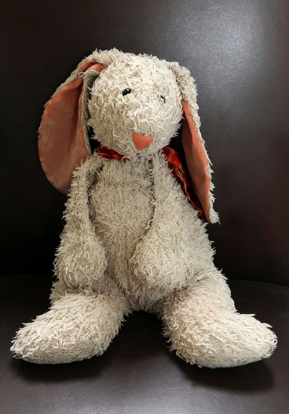 If you need to know how to find missing toys when you kid loses them.
