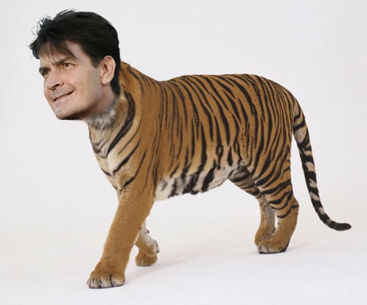 Charlie Sheen, quote machine Charlie Sheen, quote machine