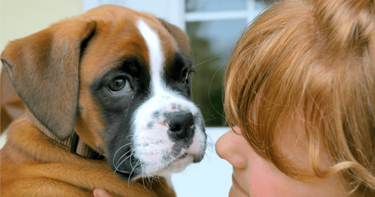 Knowing the difference between puppy farm and ethical breeder.