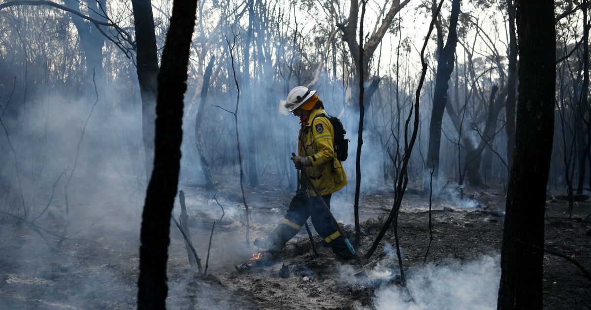 NSW bushfires latest: NSW faces new fire threat from wind change.